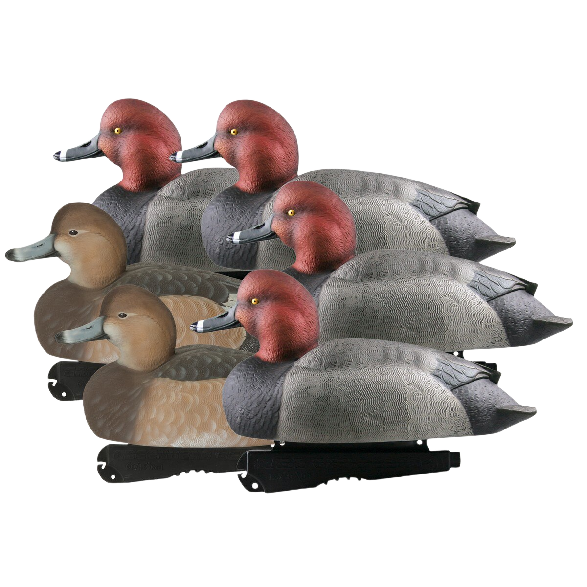 GHG Hunter Series Over Size Foam-Filled Redhead Duck Decoys 6 Pack ...